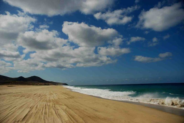 East Cape 2025: Discover Authentic Baja