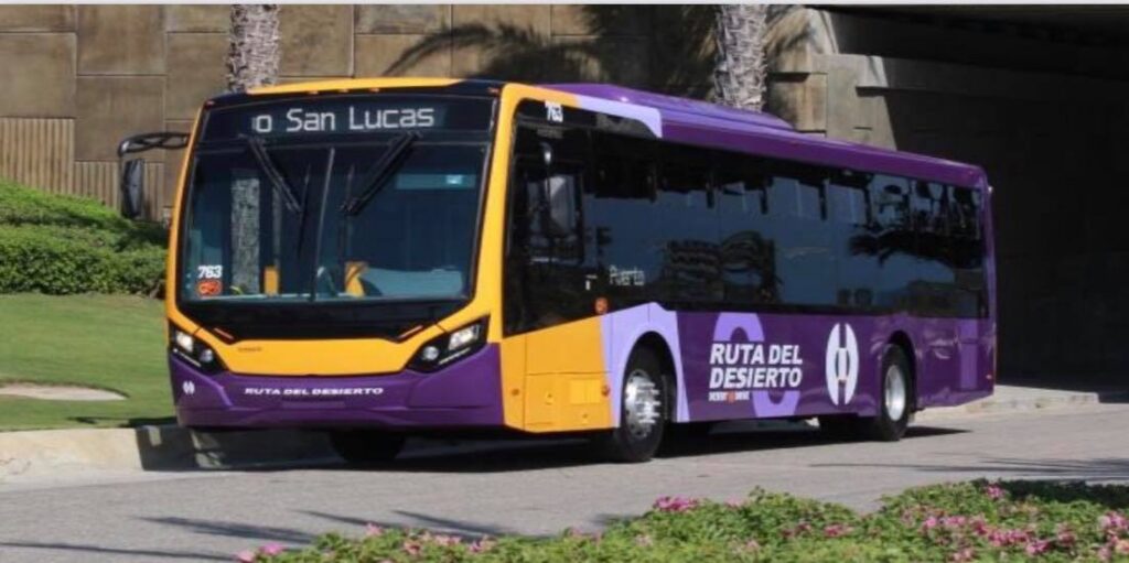 Cheapest Way from Cabo Airport: La Ruta del Desierto Bus